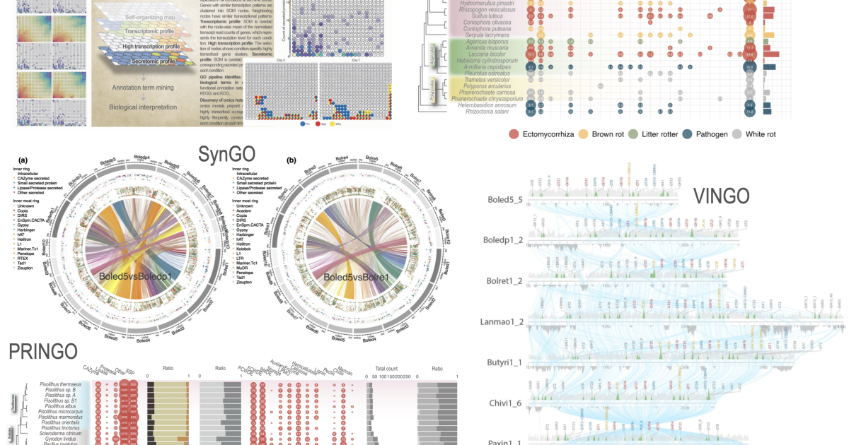 Visual Omics Tools | Okinawa Institute of Science and Technology OIST